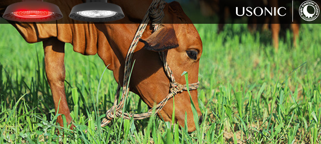 USDA Backs Eco-Dairy with Lighting Tech Grants – Night Simulator Fixture