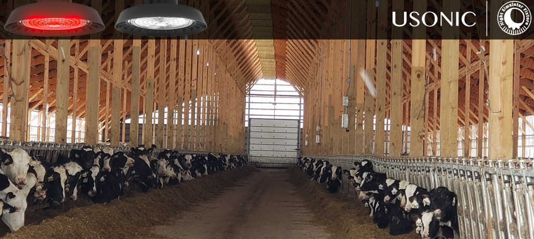 The Rise of Smart Lighting Systems in Dairy Farming – Night Simulator Fixture
