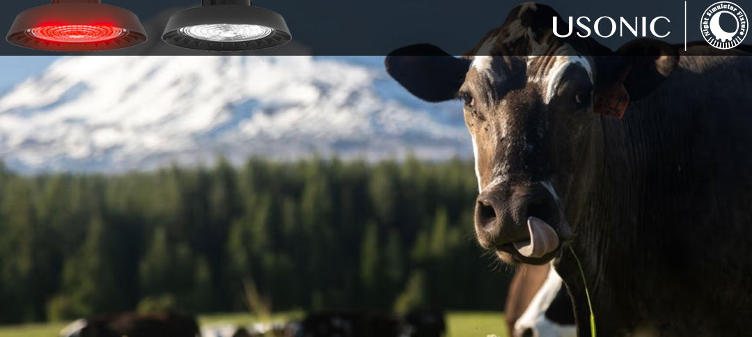 5 Fun and Unexpected Things You Didn’t Know About Dairy Farms – Night Simulator Fixture